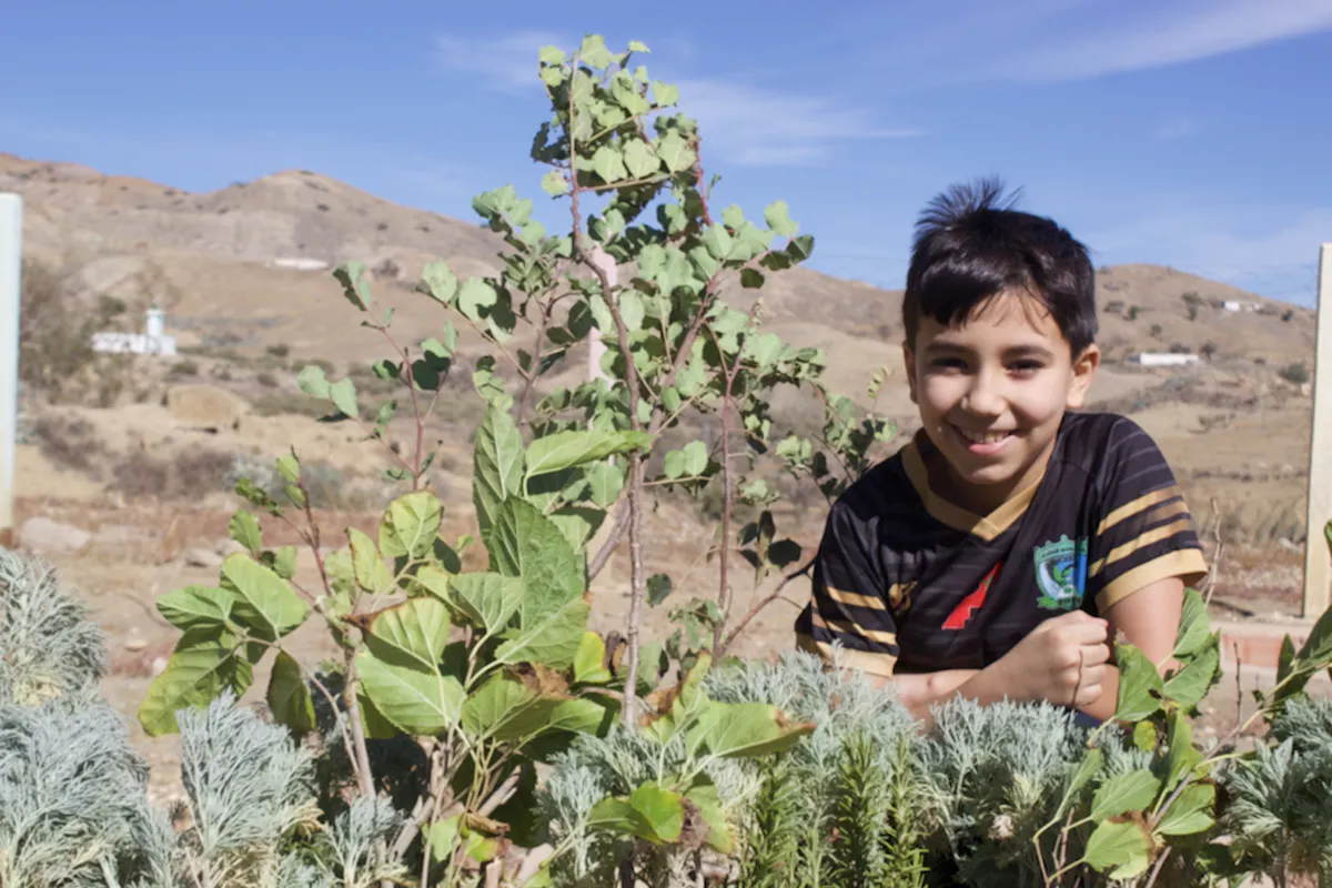 Rifluencers: inspiring young people to take action for the Rif and the ...